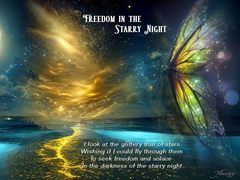 Freedom in the starry night